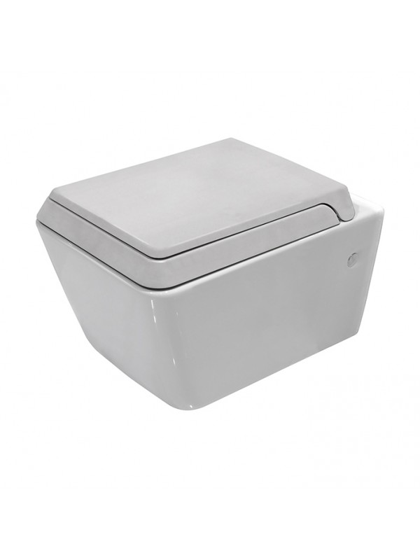 WC/ COMMODE - SANITARY ITEM - Products